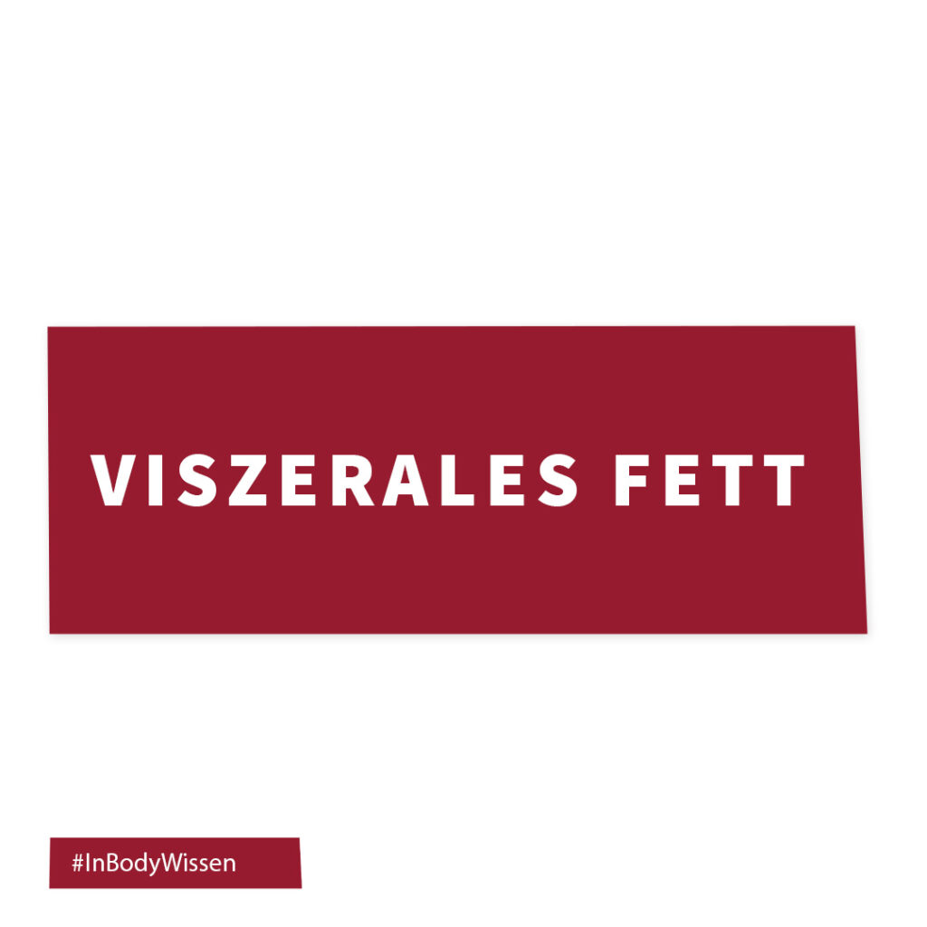 Viszerales Fett mit unserer InBody Körperanalyse sichtbar machen ...